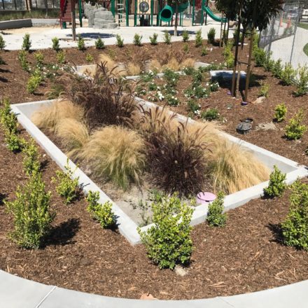 Filterra® Bioretention System - Contech Engineered Solutions ...